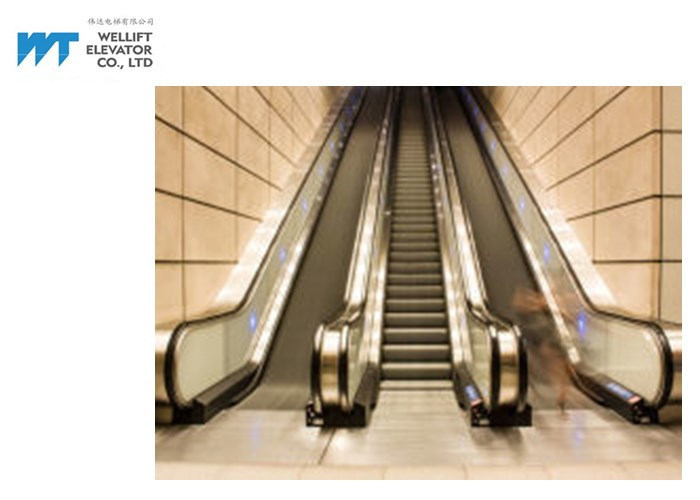 Micro Computer Control Outdoor Escalator Step Width 1000M With ...